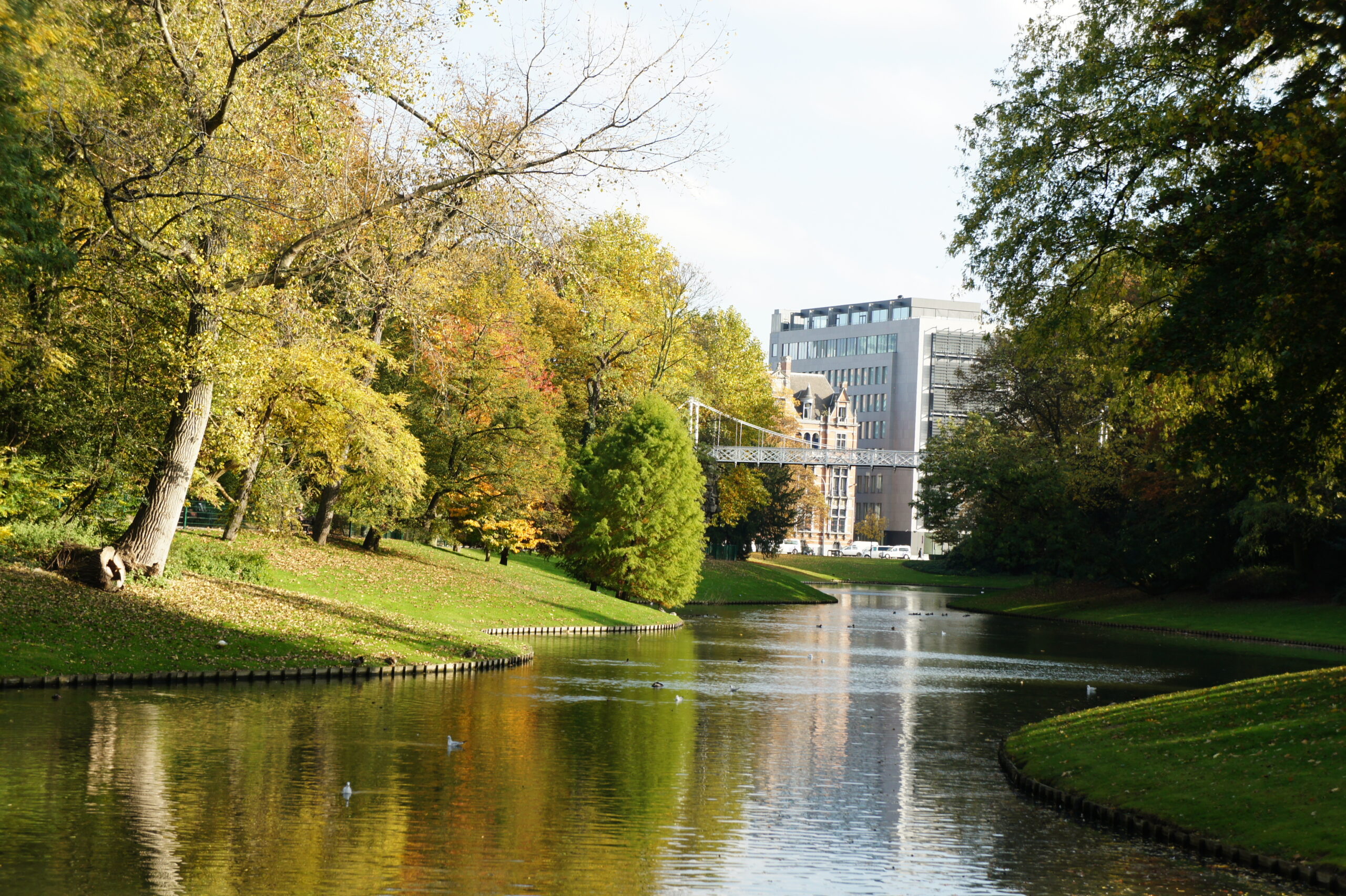Vogeltelling Brialmontpark (Wolvenberg) - Natuurpunt Antwerpen Stad